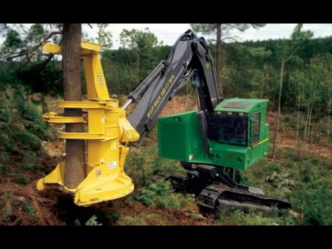 So bad in Canada they're stealing trees - YouTube