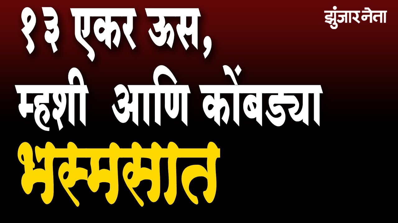 VIDEO NEWS Zunjar Neta Live 15 March 2022 - YouTube
