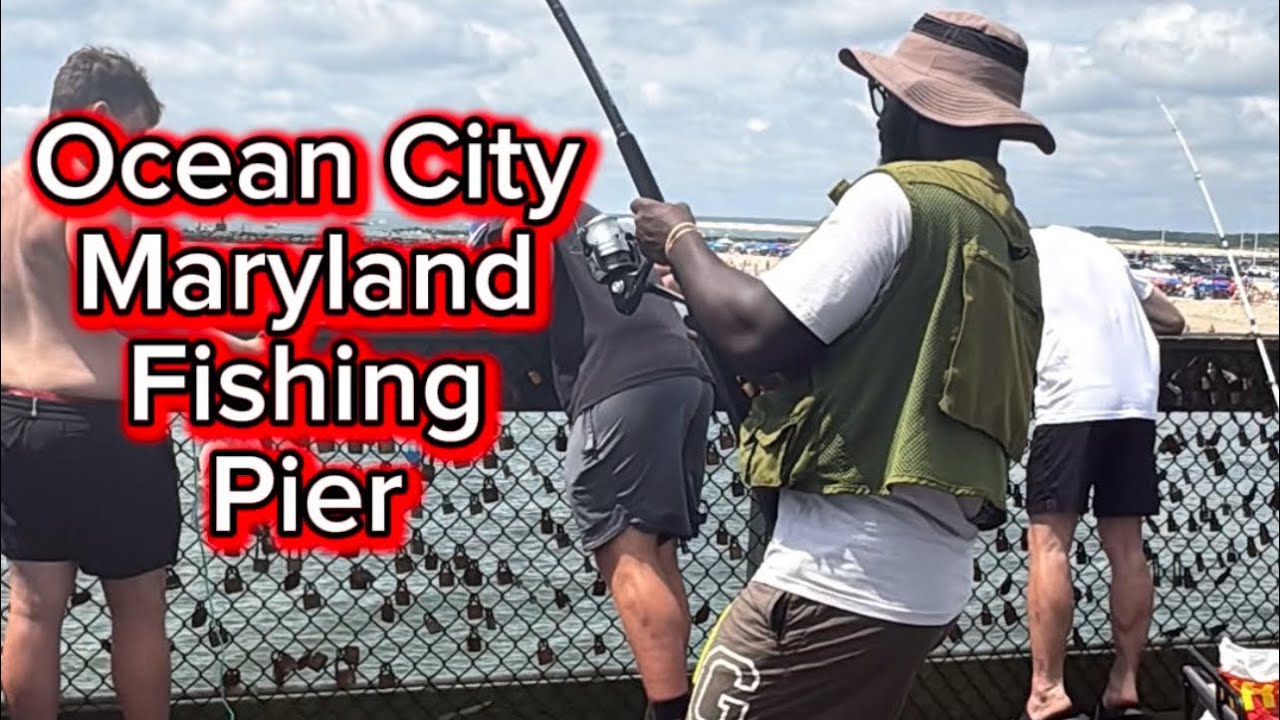 I Caught a GIANT Stingray Off the Pier in Ocean City, Maryland 🎣 - YouTube