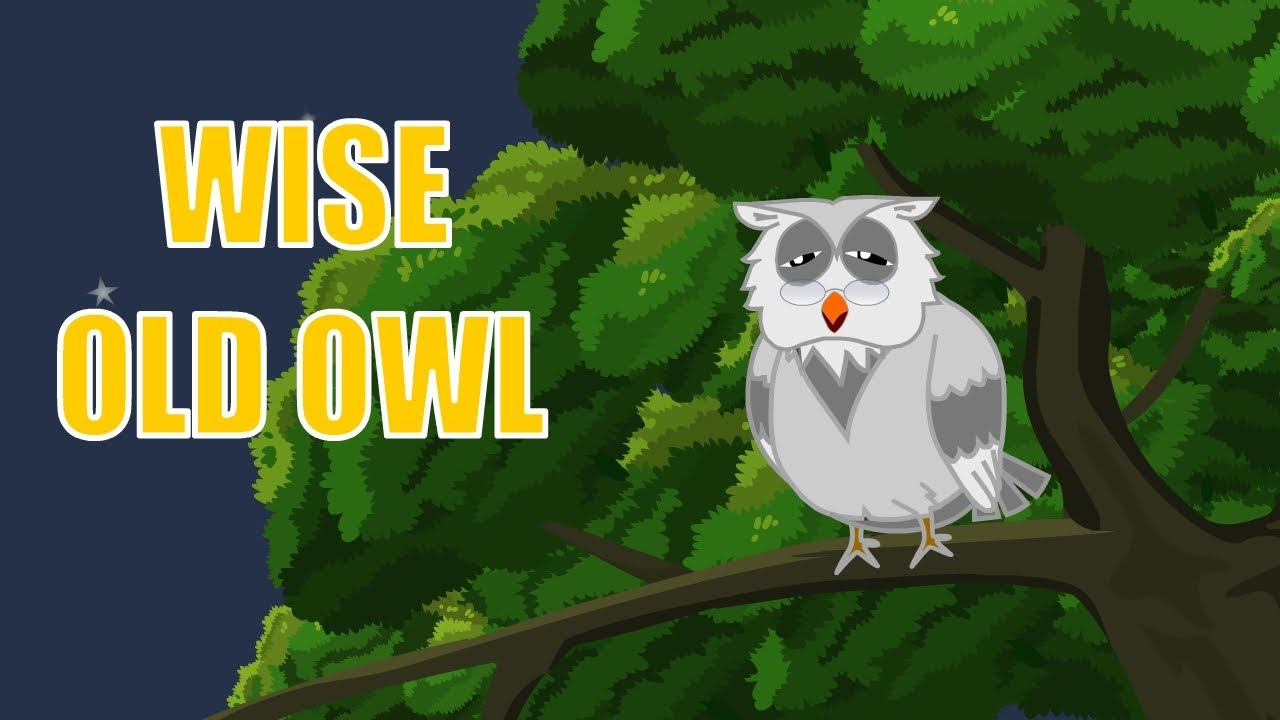 Wise Old Owl Nursery Rhyme - YouTube