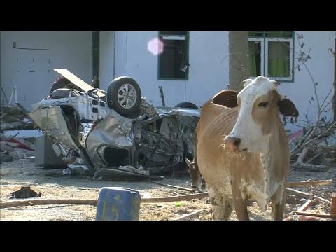 Deprem ve tsunaminin vurduğu Endonezya'da bilanço ağırlaşıyor