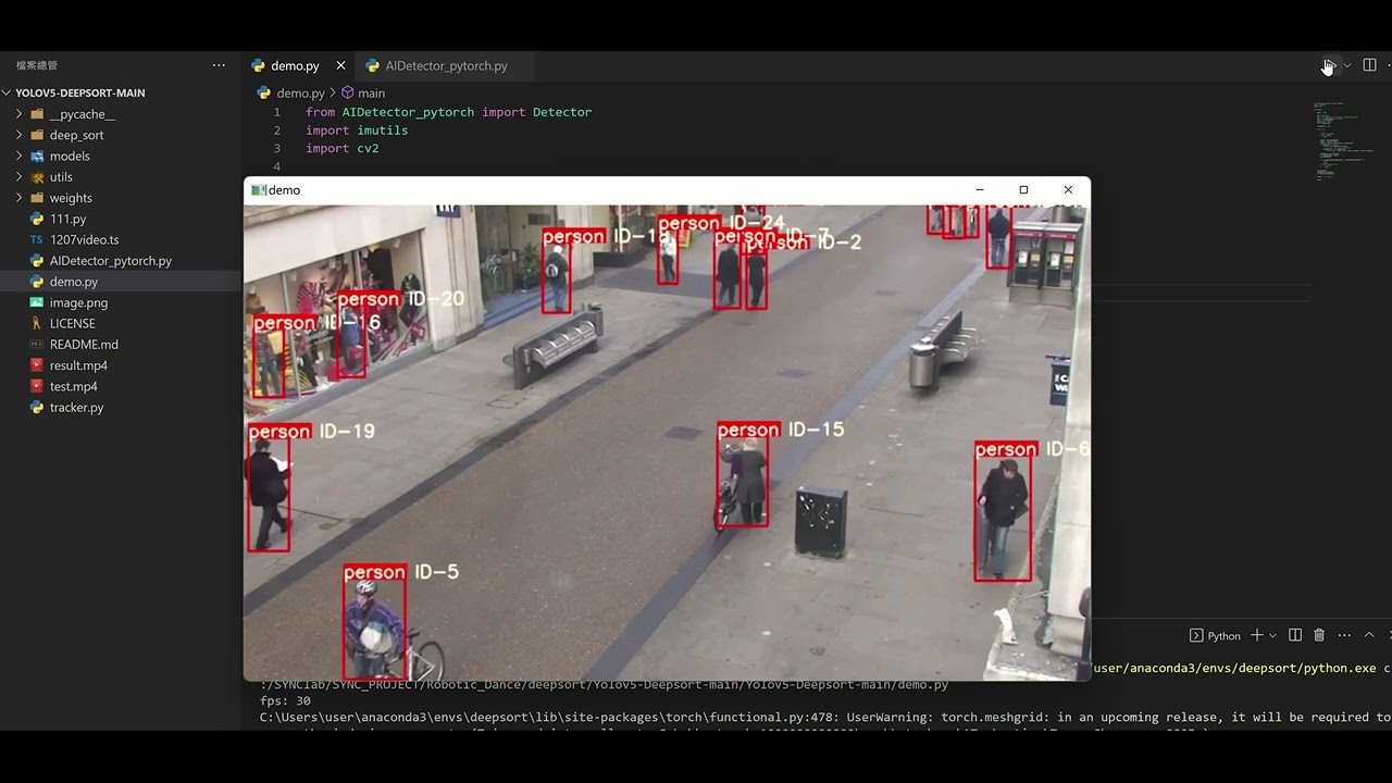 deepsort demo - YouTube