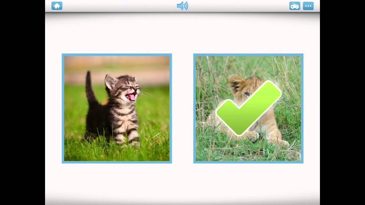 Bitsboard PRESCHOOL - YouTube