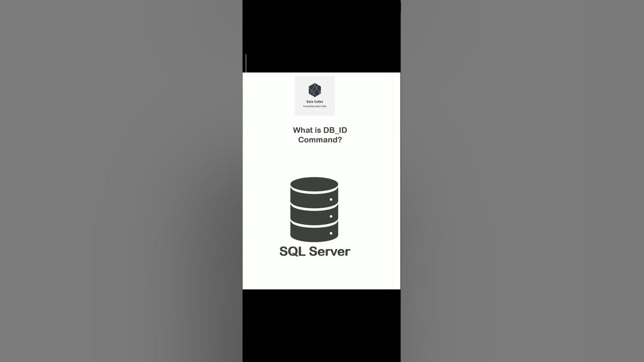 DB_ID COMMAND | SQL Server #shorts #datacodex #sqlserver #sqlforbeginners - YouTube