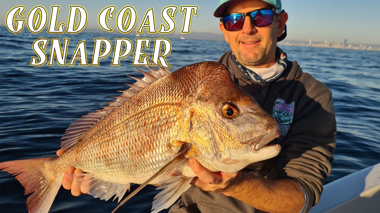 A SNAPPER SESSION FOR THE AGES !!!! - YouTube