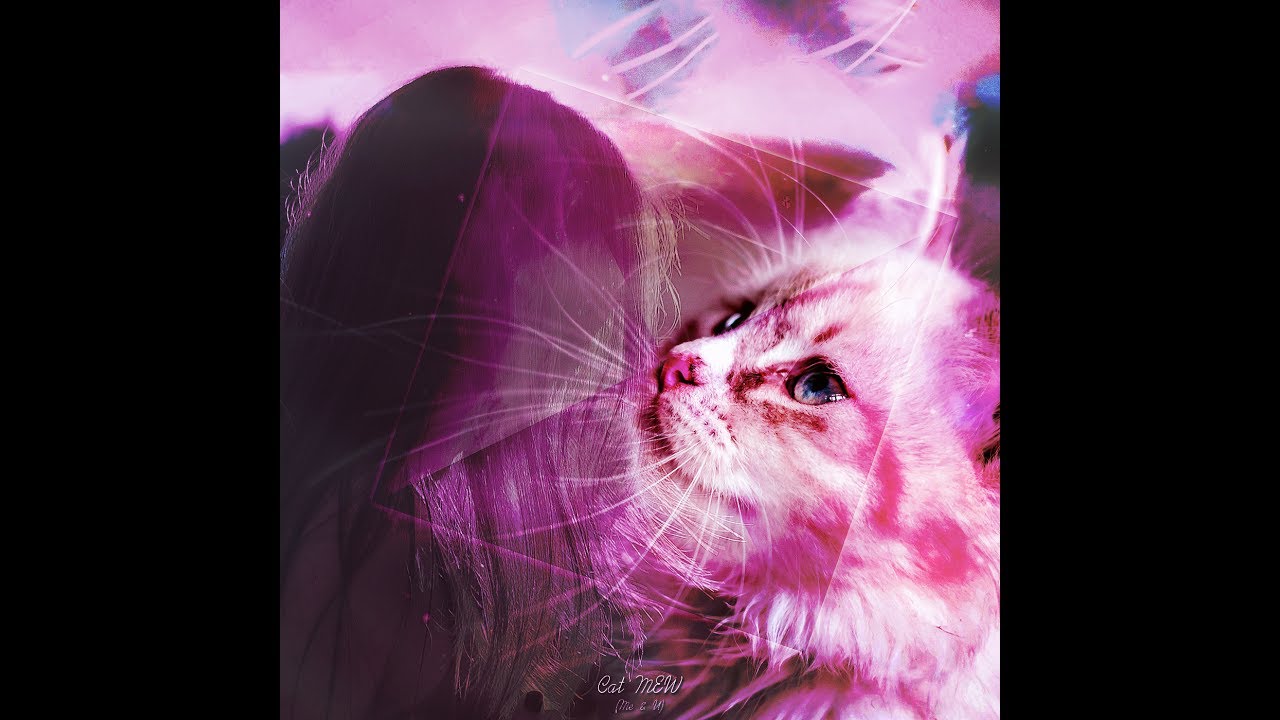 도비 (DoBi)_Cat Mew (Me & U) (Feat. 혜원) [PurplePine Entertainment] - YouTube