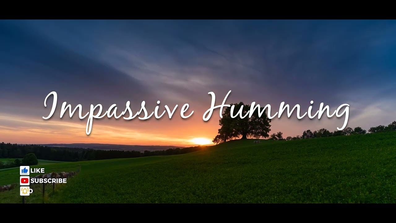 Nasheed - Impassive Humming - YouTube