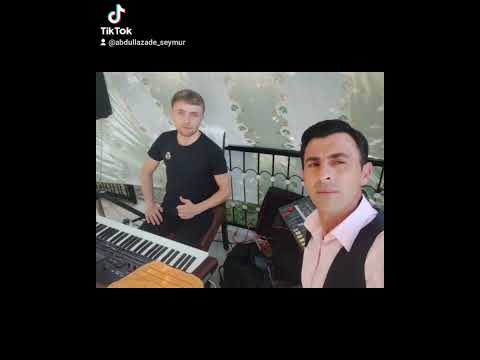 onu sanki qelem cekib seki seymur sintez
