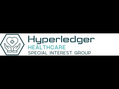 2024 12 18 LFDT HC SIG Meeting - YouTube