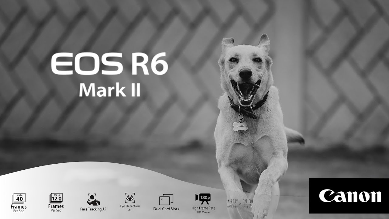 Canon EOS R6 Mark II - YouTube
