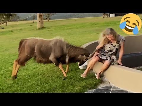 Best Fails of the Week 😂 Try Not To Laugh