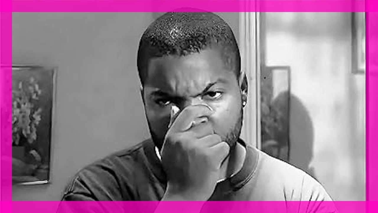 What A Show Put On By The Newest LOLCOW - YouTube