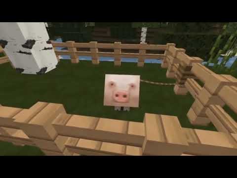 Handaşlar merak ediyo