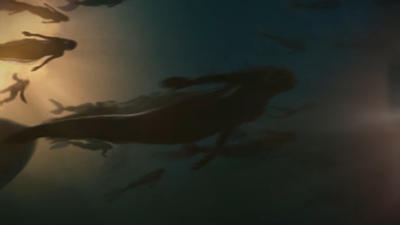 5 Mermaids That Might Exist In Real Life! - YouTube