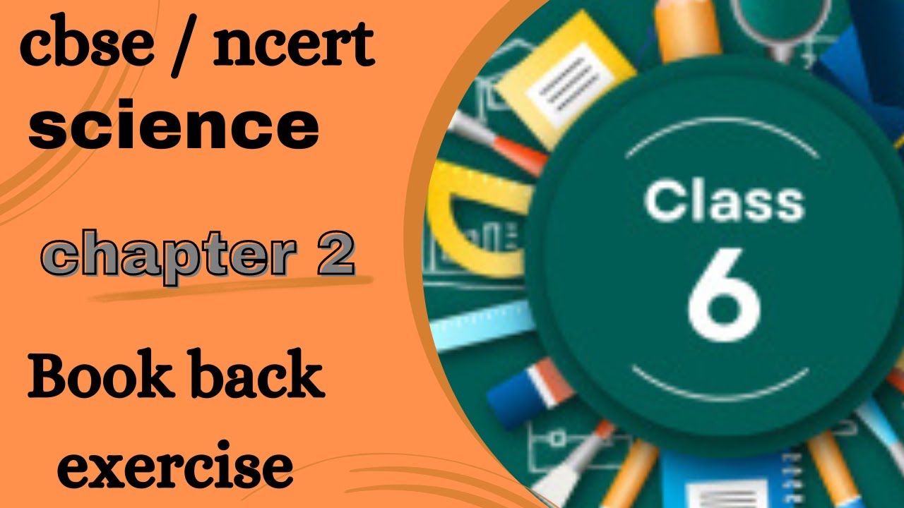 Book back exercise - YouTube