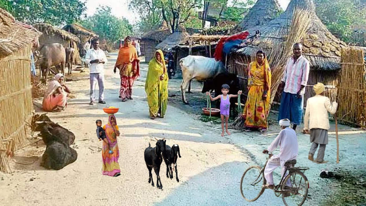 The real life of the people of the rural village The life of the ...