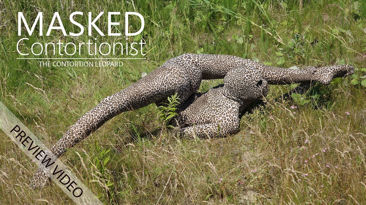 The Contortion Leopard - 469-06 - YouTube