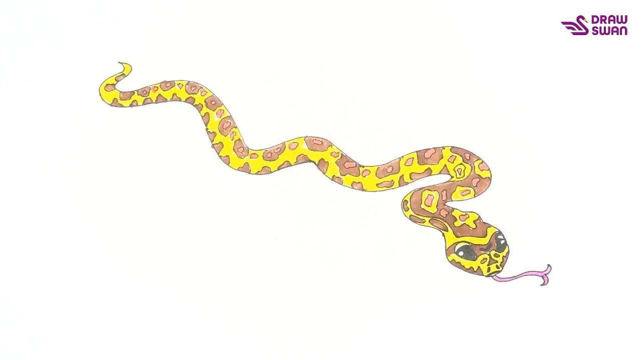 How to draw a corn snake - YouTube