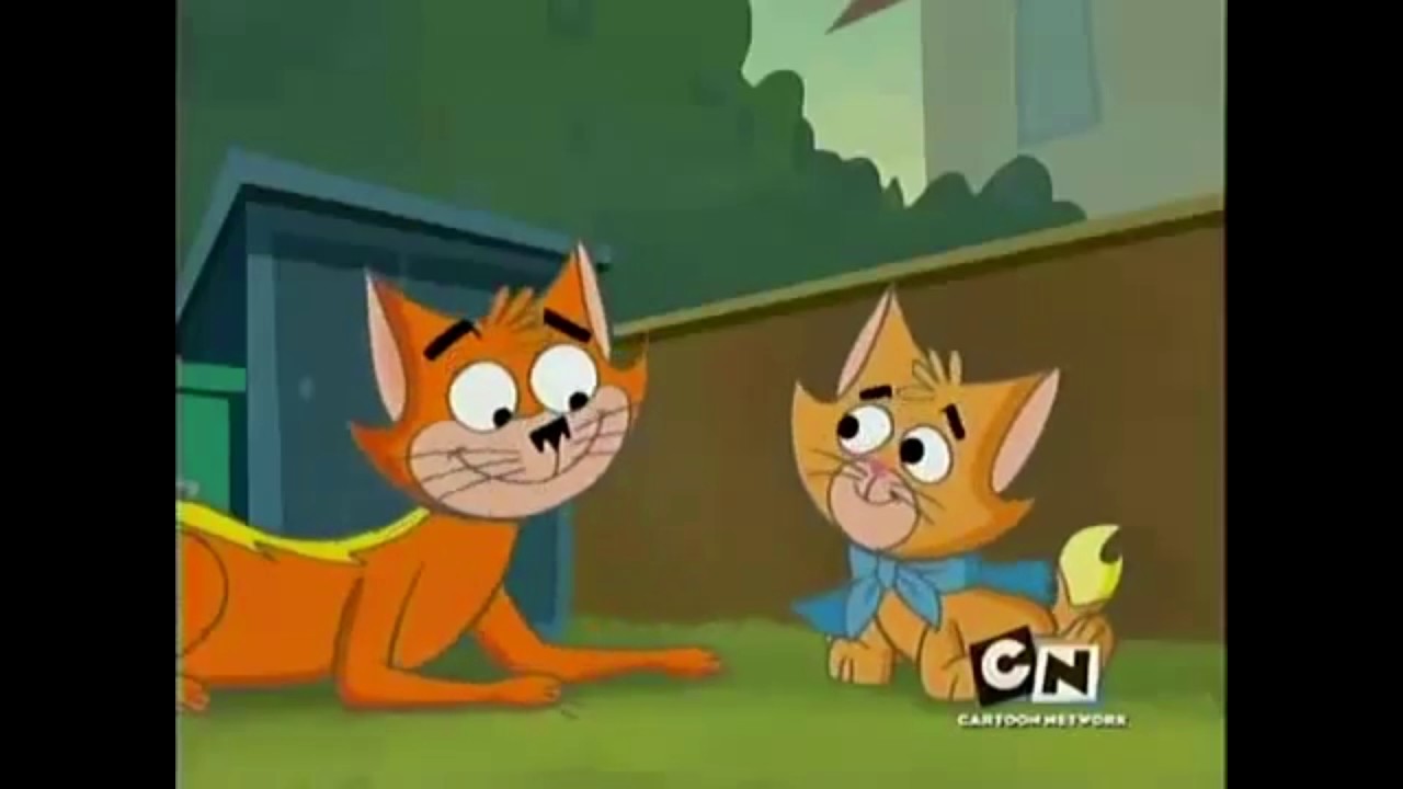 VMV: Bella Notte - YouTube