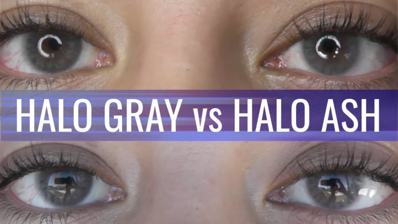 Siesta Crystal Halo Gray vs Halo Ash (discount danica10) - YouTube
