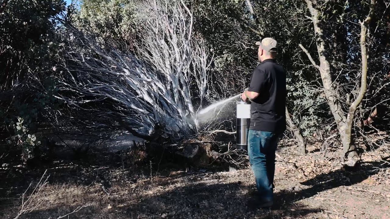 ECO CAF 3 Handheld - YouTube