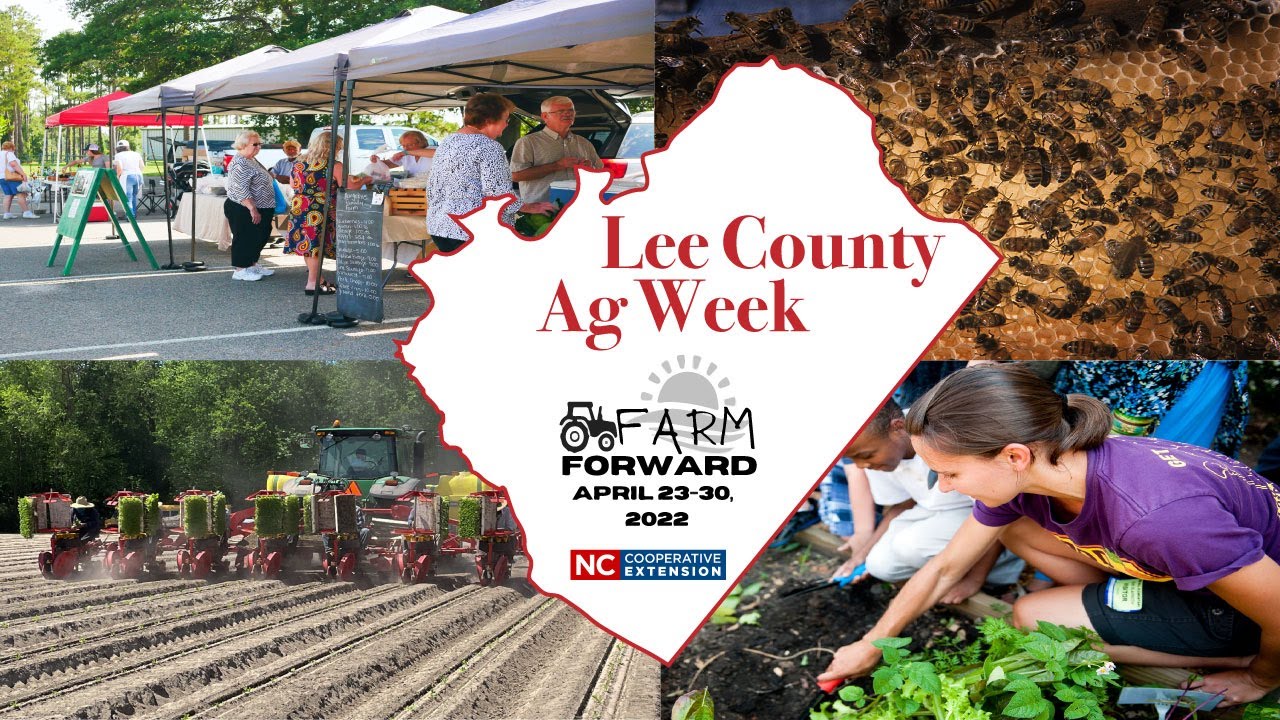 Egg Set Ag Week Ad - YouTube