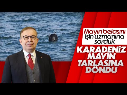 Türk sularında savaş mayını alarmı ! Cihat Yaycı anlatıyor