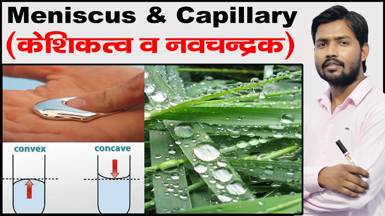 Meniscus | Capillary Fall and Rise | Angle of Contact | Cohesive ...