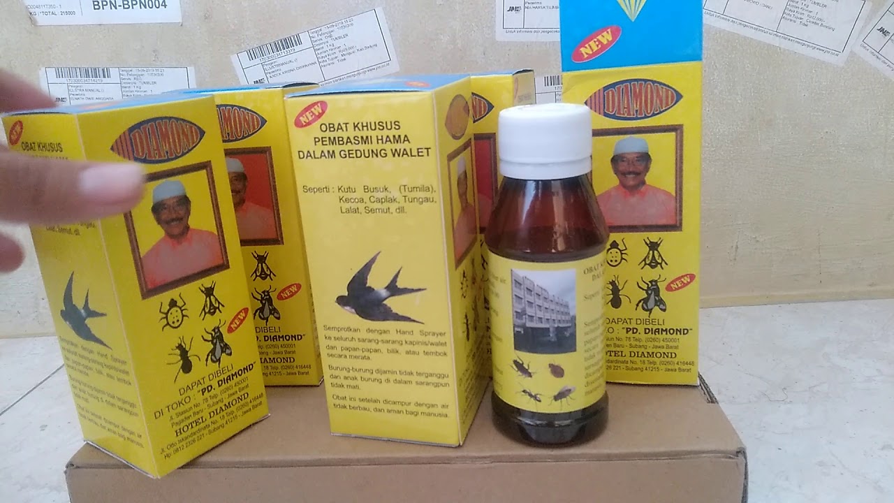 REVIEW!! Obat Hama Walet DIAMOND. Populasi Walet InsyaAllah Menambah ...