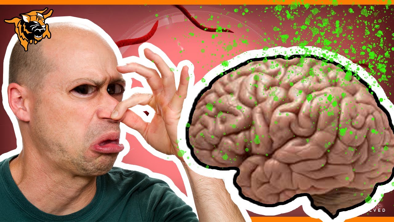 STINKY BRAIN FARTS | Plague Inc - YouTube