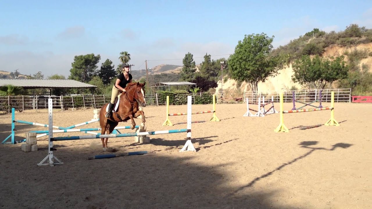 Phoenix jumping 3 - YouTube