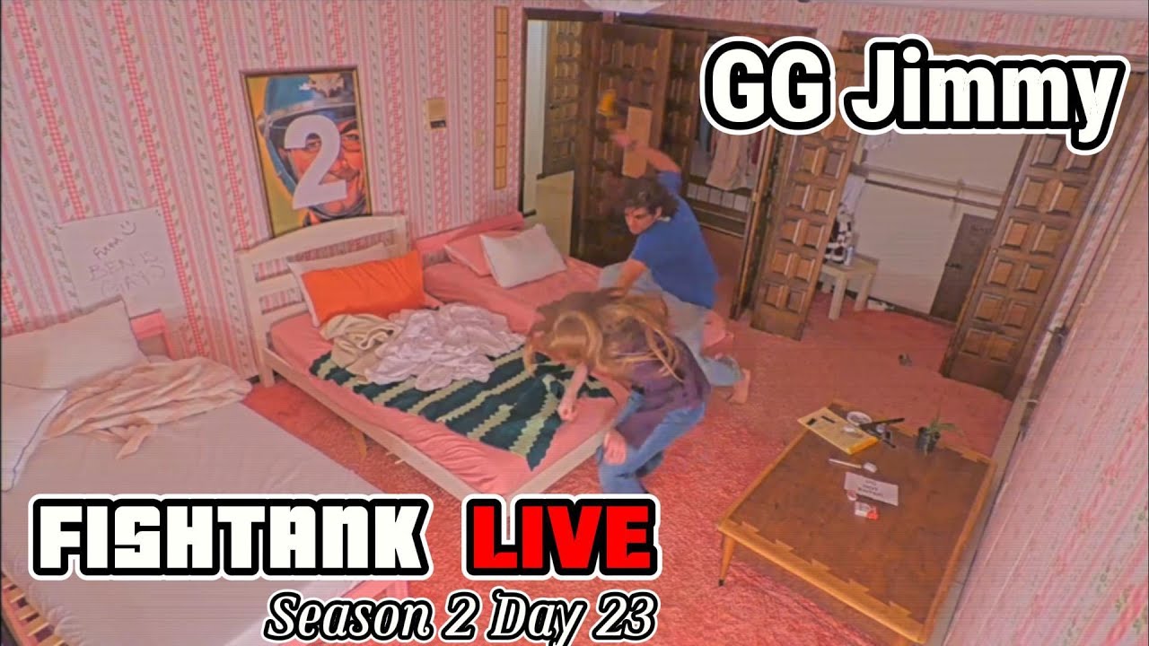 Fishtank LIVE S2 Day 22 - Why Jimmy Gets Removed from the Tank - YouTube