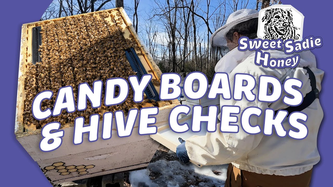 Winter Hive Check & Candy Board Installation - YouTube
