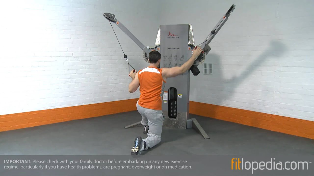 Single Arm Cable Cross Lat Pull Down on Swiss Ball with Isometric ...