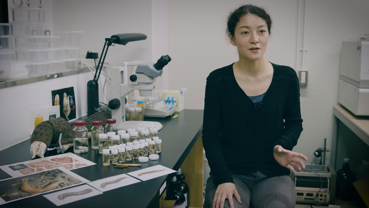 How Invertebrates Adapt to Seasonal Environmental Changes: As Seen ...