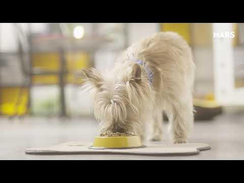 Mars Net Zero - Petcare - YouTube