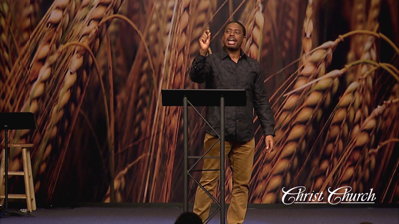 The Power of the Seed David D Ireland, Ph D - YouTube