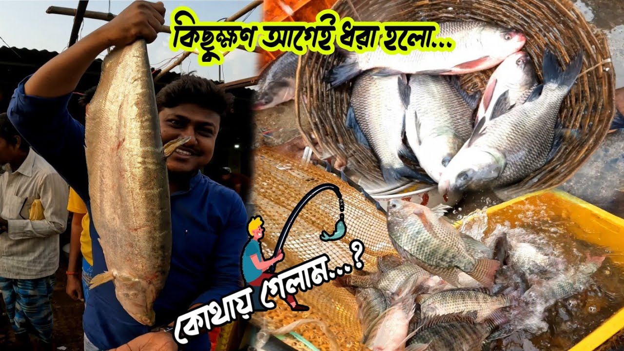 পশ্চিমবঙ্গের বিশাল বড়ো মাছের আড়ত | Kharibari Fish market 2023 | Low ...