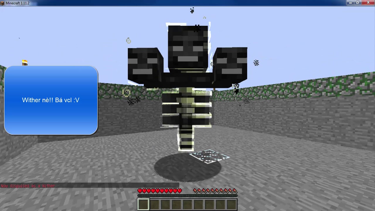 【PLUGIN】Chia sẻ plugin LibsDisguises (1.11 - 1.12) - YouTube