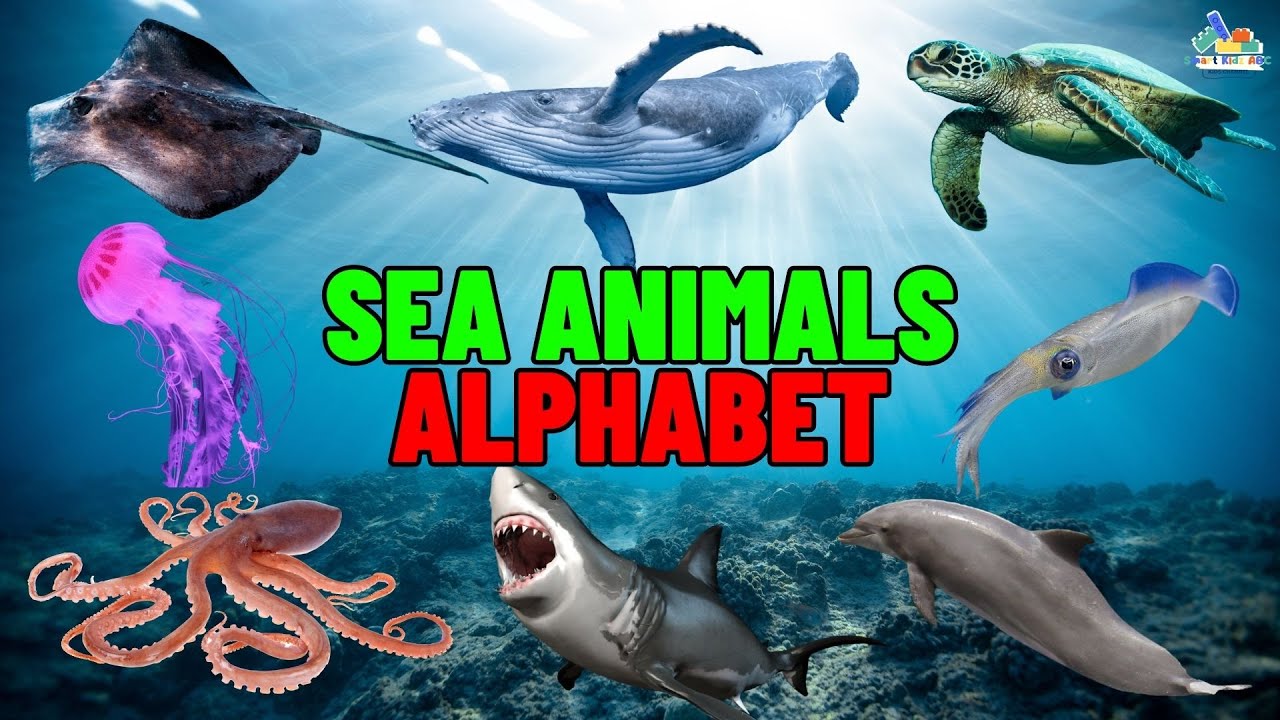 SEA ANIMALS ALPHABET FOR KIDS #seaanimals #animalsvideo #kidsvideo # ...