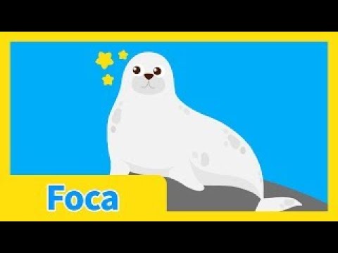 Foca🦦| Canciones Infantiles | Para Niños | Animales del Mar | Lotty ...
