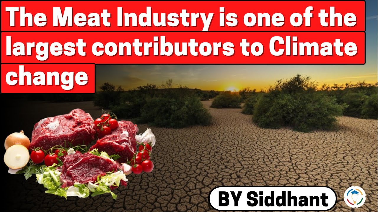 The Meat industry is one of the largest contributors to Climate change ...
