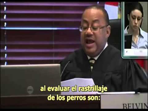 Casey Anthony 16 Rastrillaje canino - YouTube