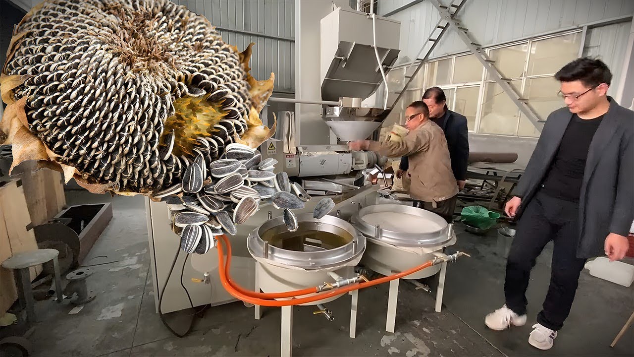 Best Oil Making Machines for Home and Small Business Use - YouTube