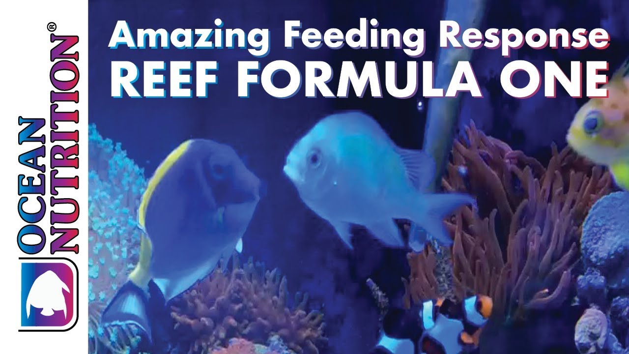 Ocean Nutrition: Reef Formula One - YouTube