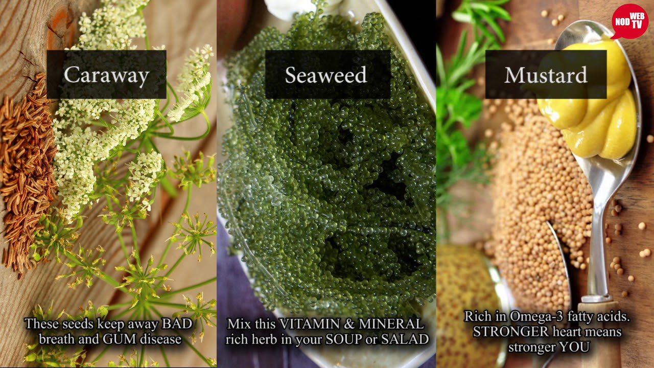 Taste Enhancers Commonly Used Around The World - YouTube