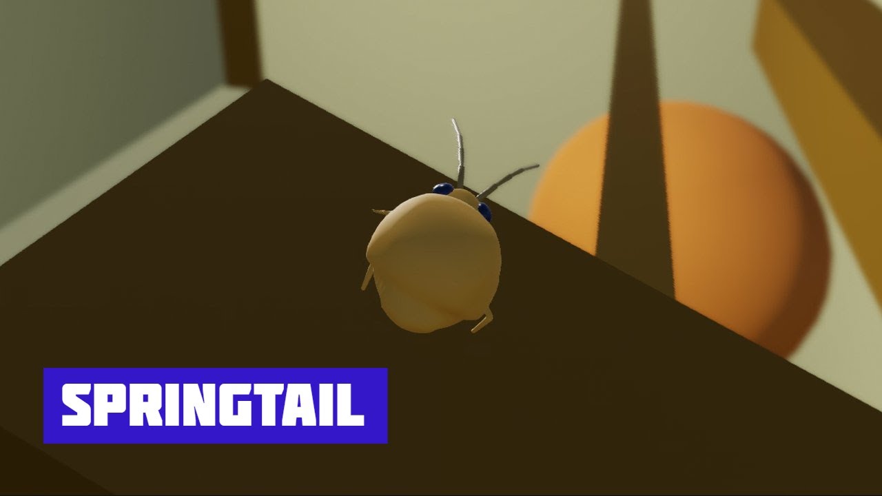 SPRINGTAIL - YouTube