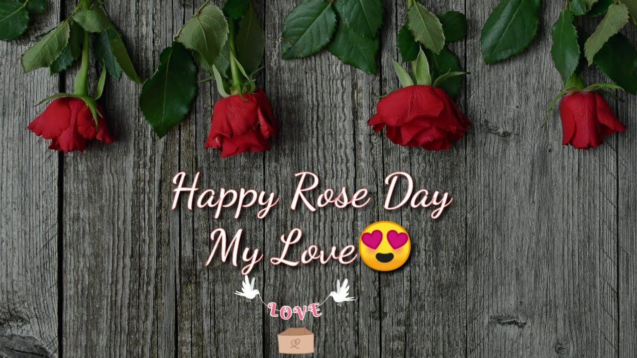 7 Feb🌹Rose day whatsapp status video 2019 😘 | Lovely Rose day status ...