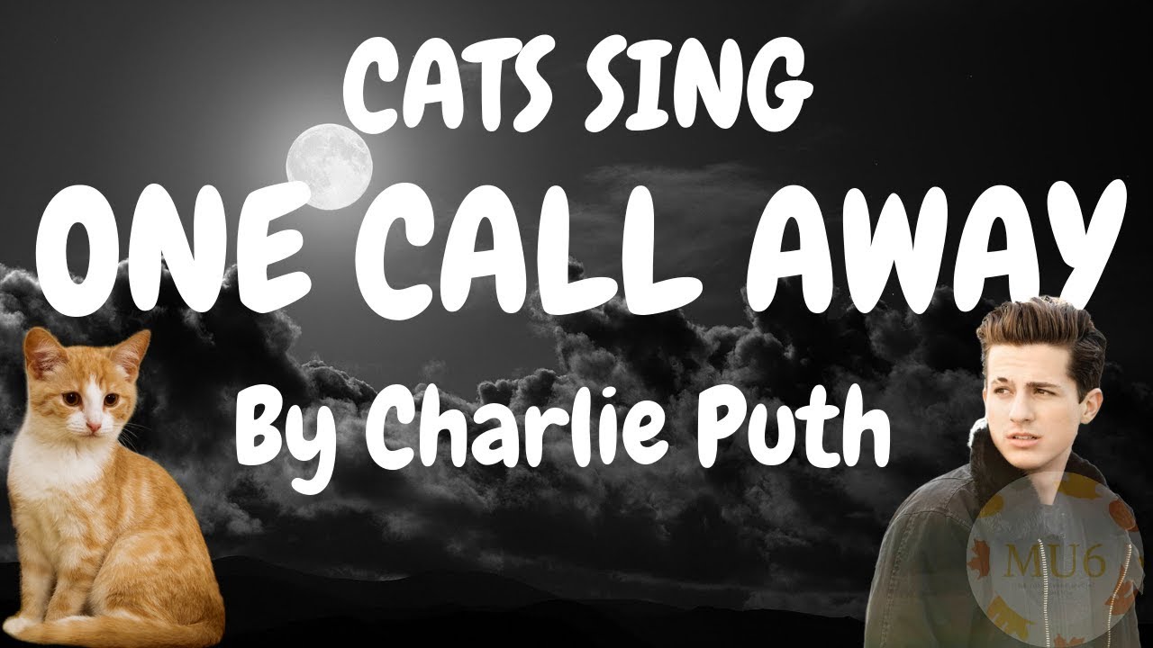 Cats Sing One Call Away by Charlie Puth | Cats Singing Song - YouTube