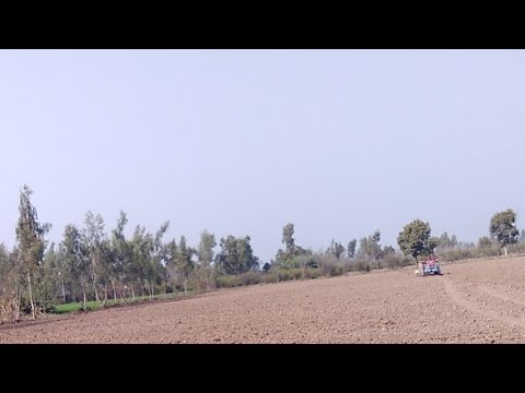 Land Preparation For SUGAR CANE Cultivation | RIDGES - YouTube
